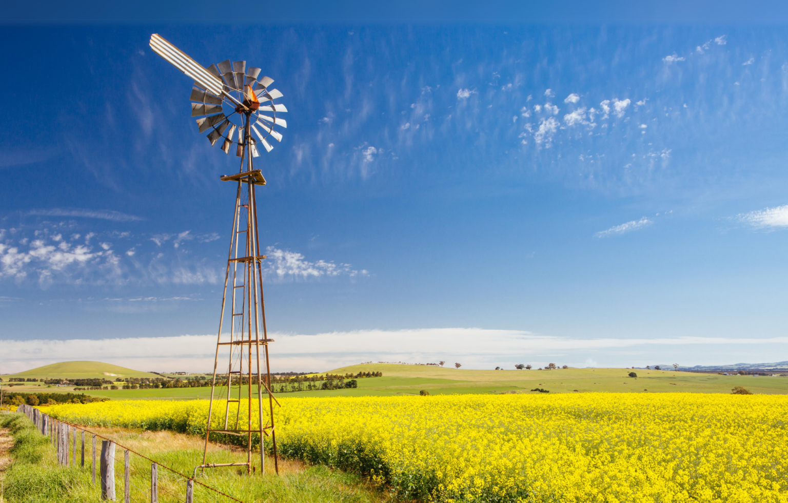 Homepage - StewardshipFirst - CropLife Australia